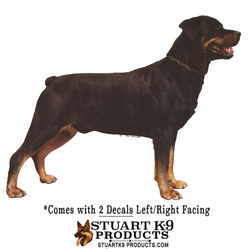 Rottweiler Body | Pair – StuartK9Products